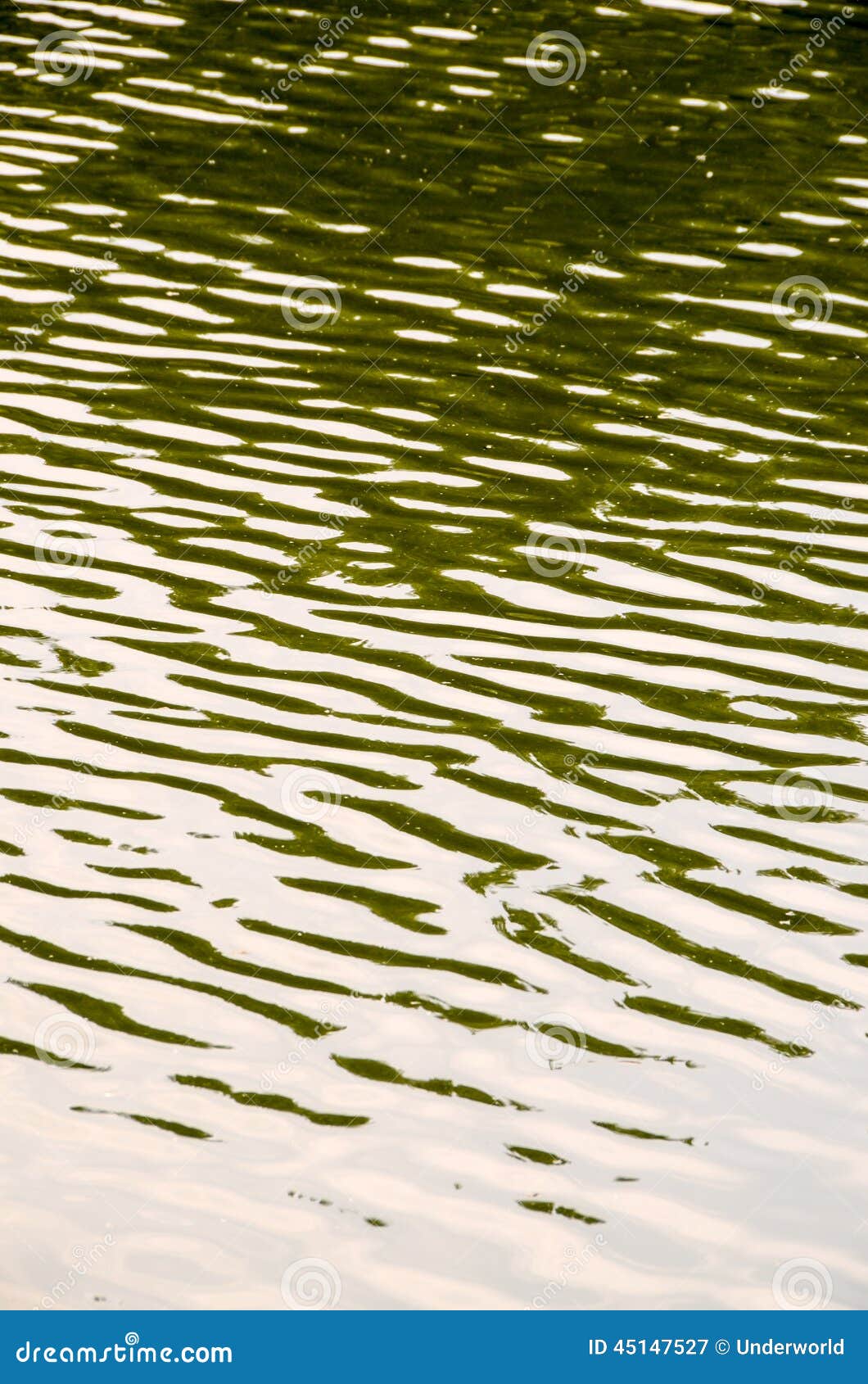 Green Water Texture stock image. Image of nature, flood - 45147527