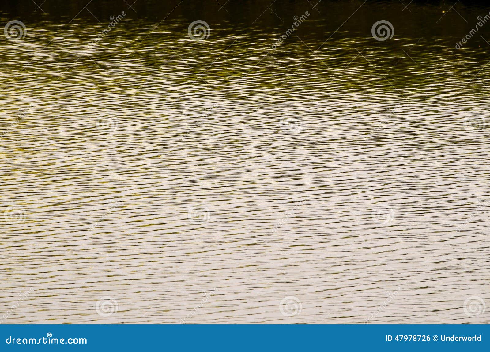 Green Water Texture stock photo. Image of ripple, fluid - 47978726