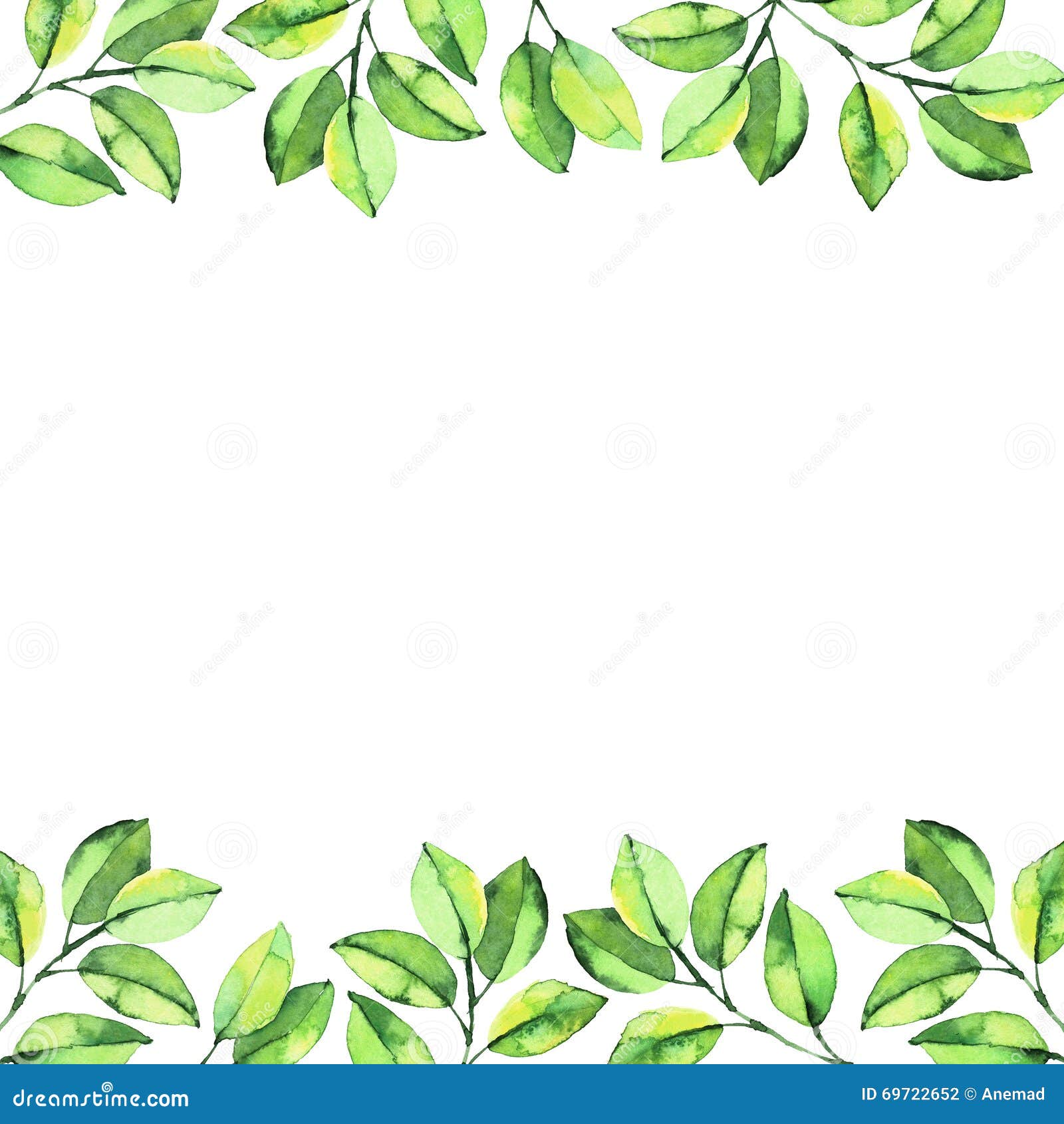 Green Watercolor Leaves Round Composition Background Stock Illustration ...