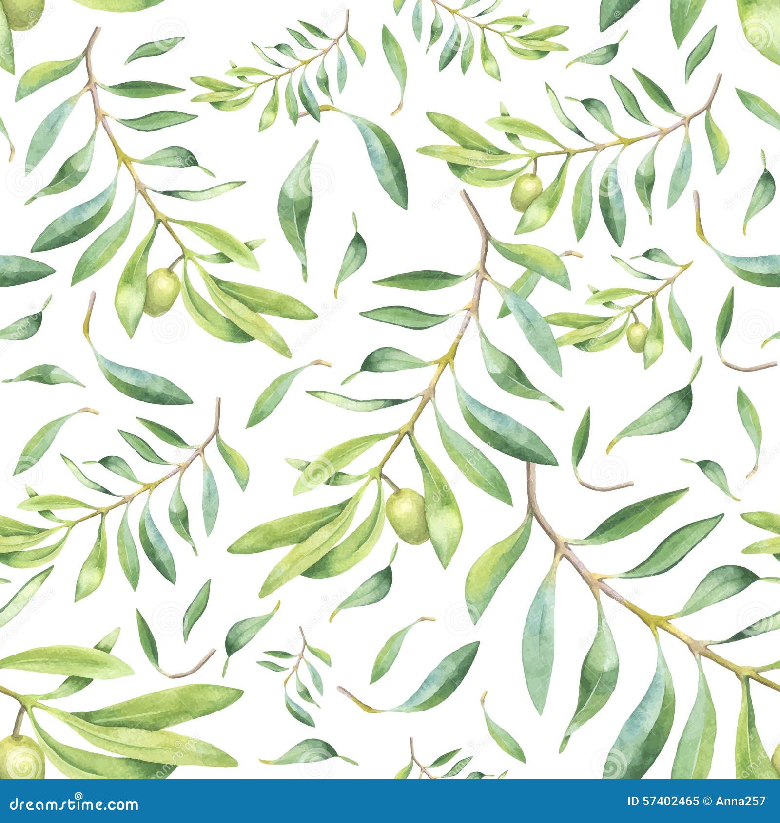 Green Watercolor Olive Branch Stock Vector - Illustration of abstract ... Green Watercolor Olive Branch Stock Vector - Illustration of abstract ...