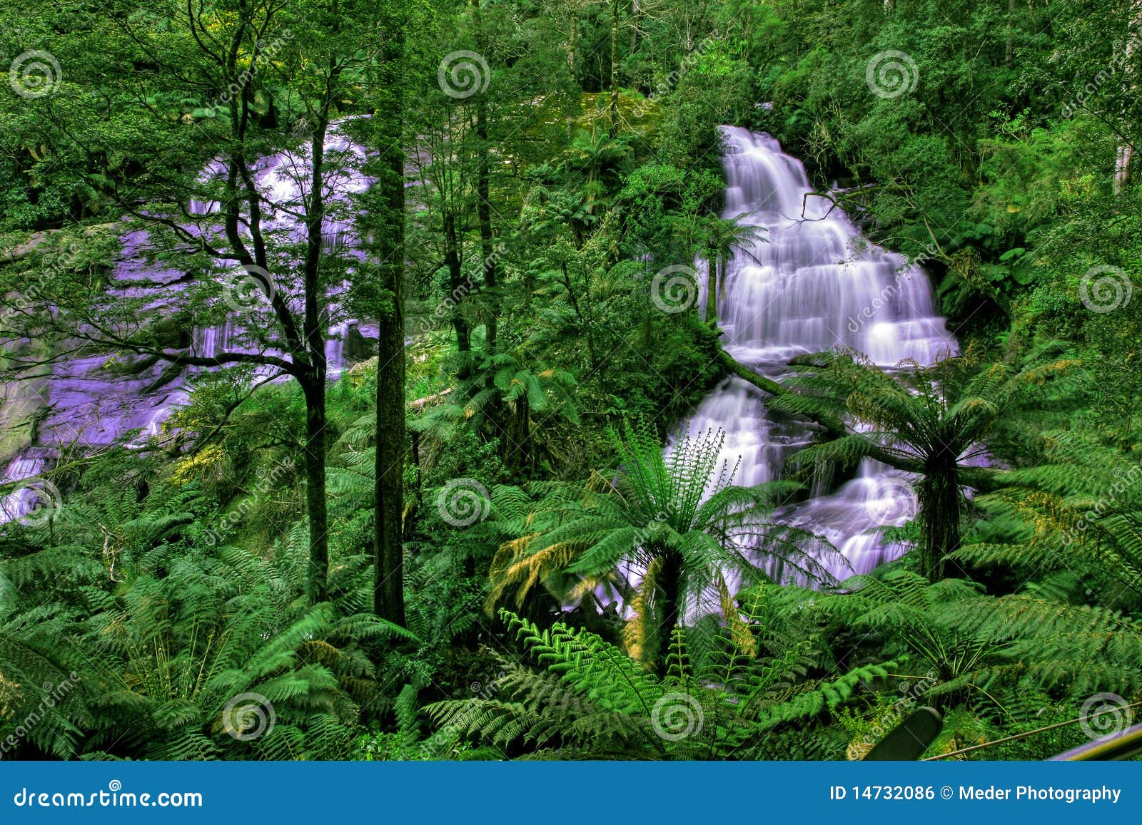 Green waterfall stock photo. Image of plant, cascades - 14732086