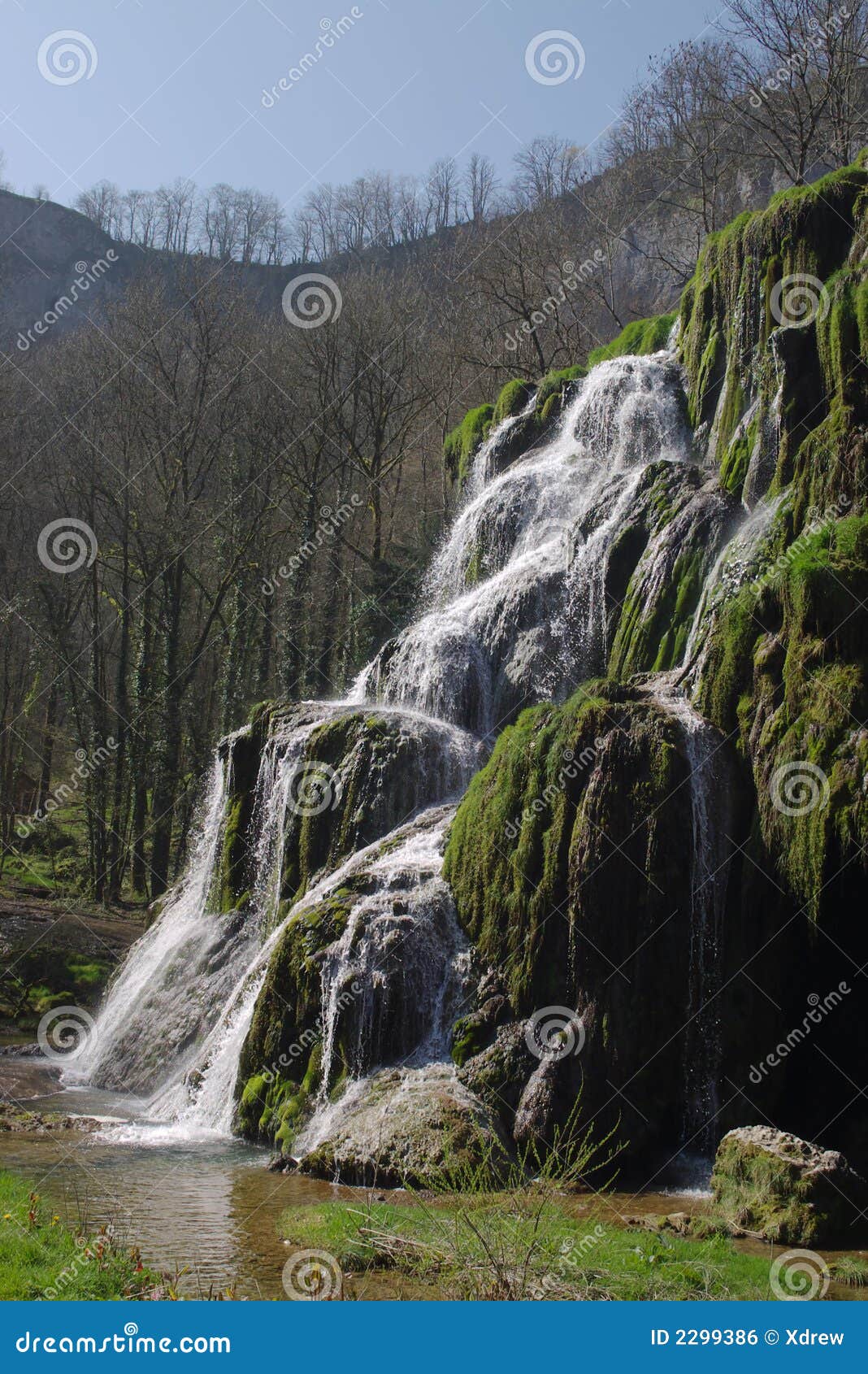 Green waterfall stock photo. Image of lake, beauty, coniferous - 2299386