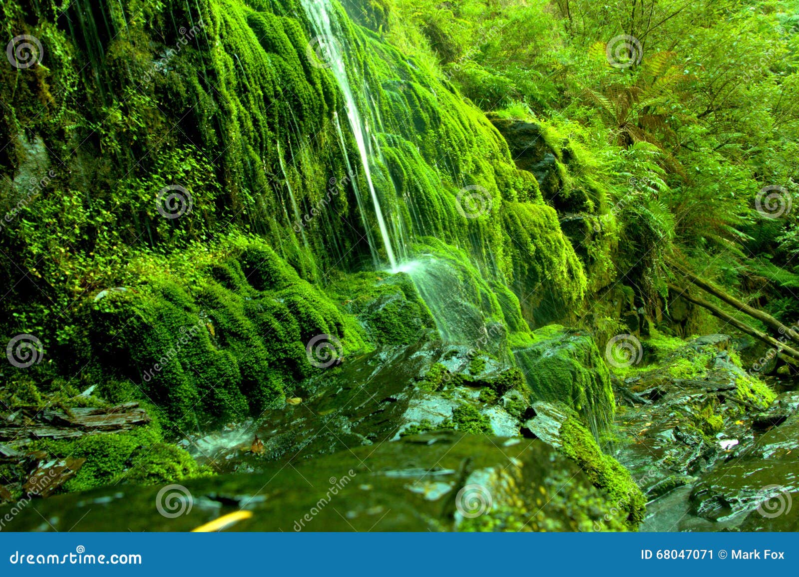 Green Waterfall stock image. Image of water, falls, beautiful - 68047071