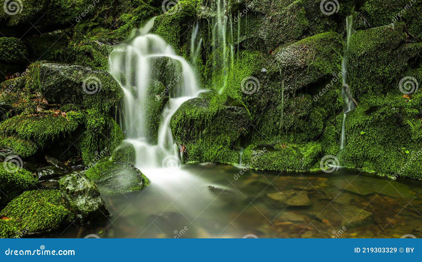 Green Waterfall in a Forest Stock Image - Image of origin, flow: 219303329