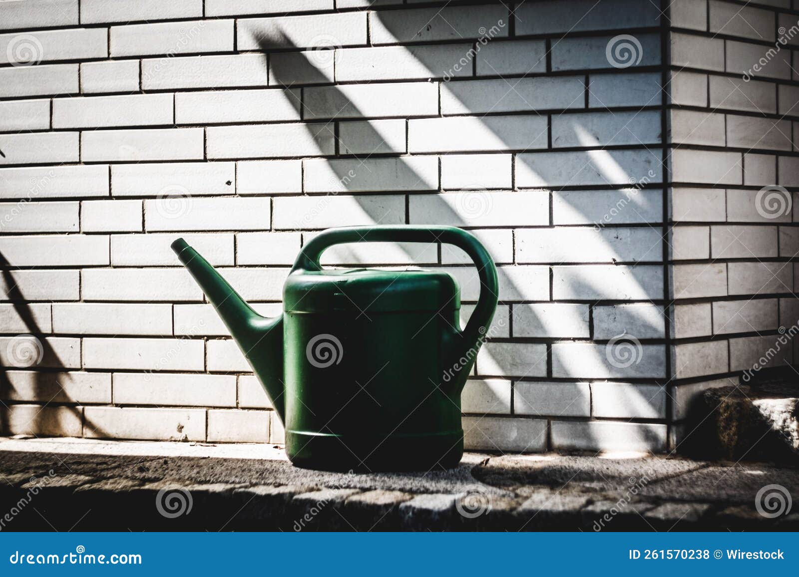 Green Watering Can in Front of Wall Stock Photo - Image of garden ...