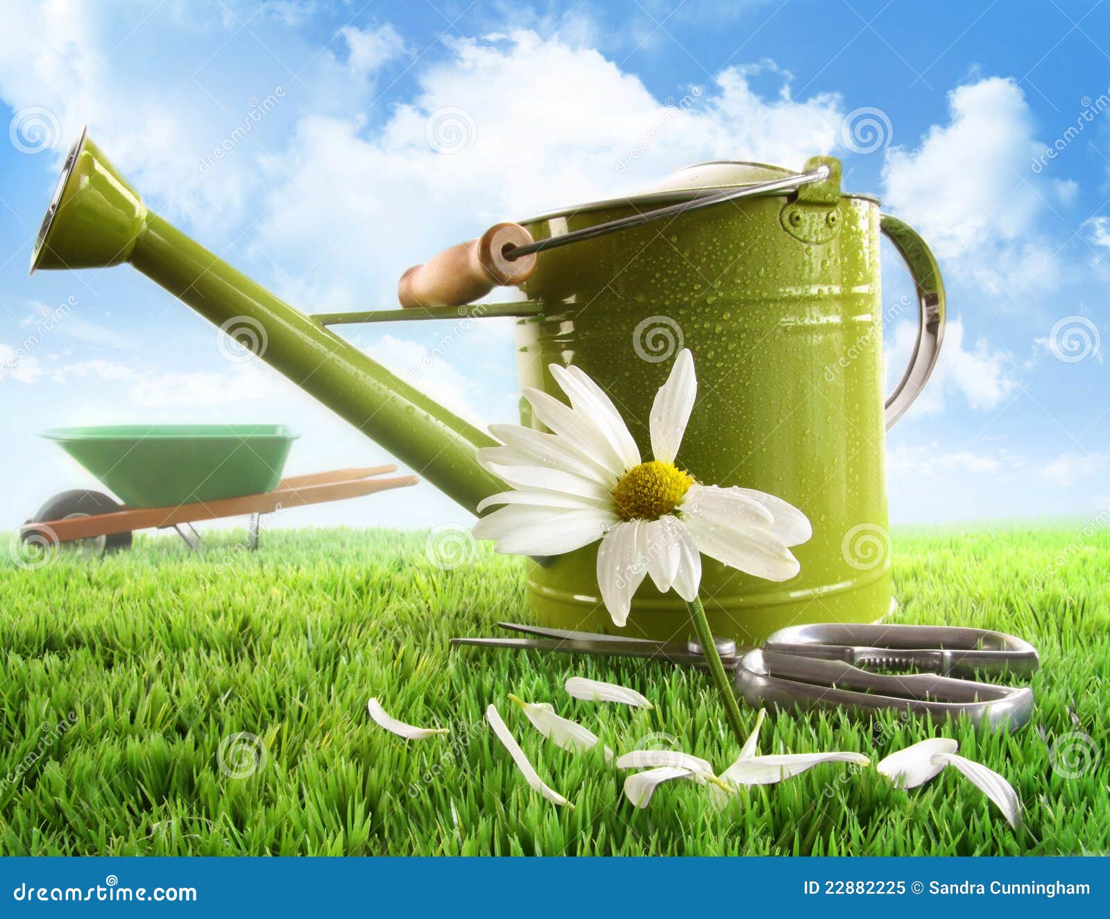 Green Watering Can On Paper Texture Leaves Shape Background Royalty ...