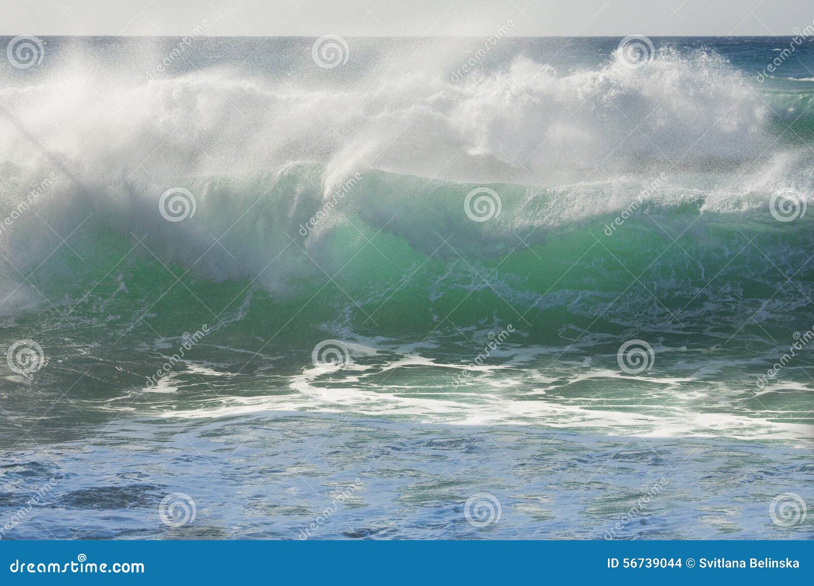 Green wave stock photo. Image of break, green, fresh - 56739044