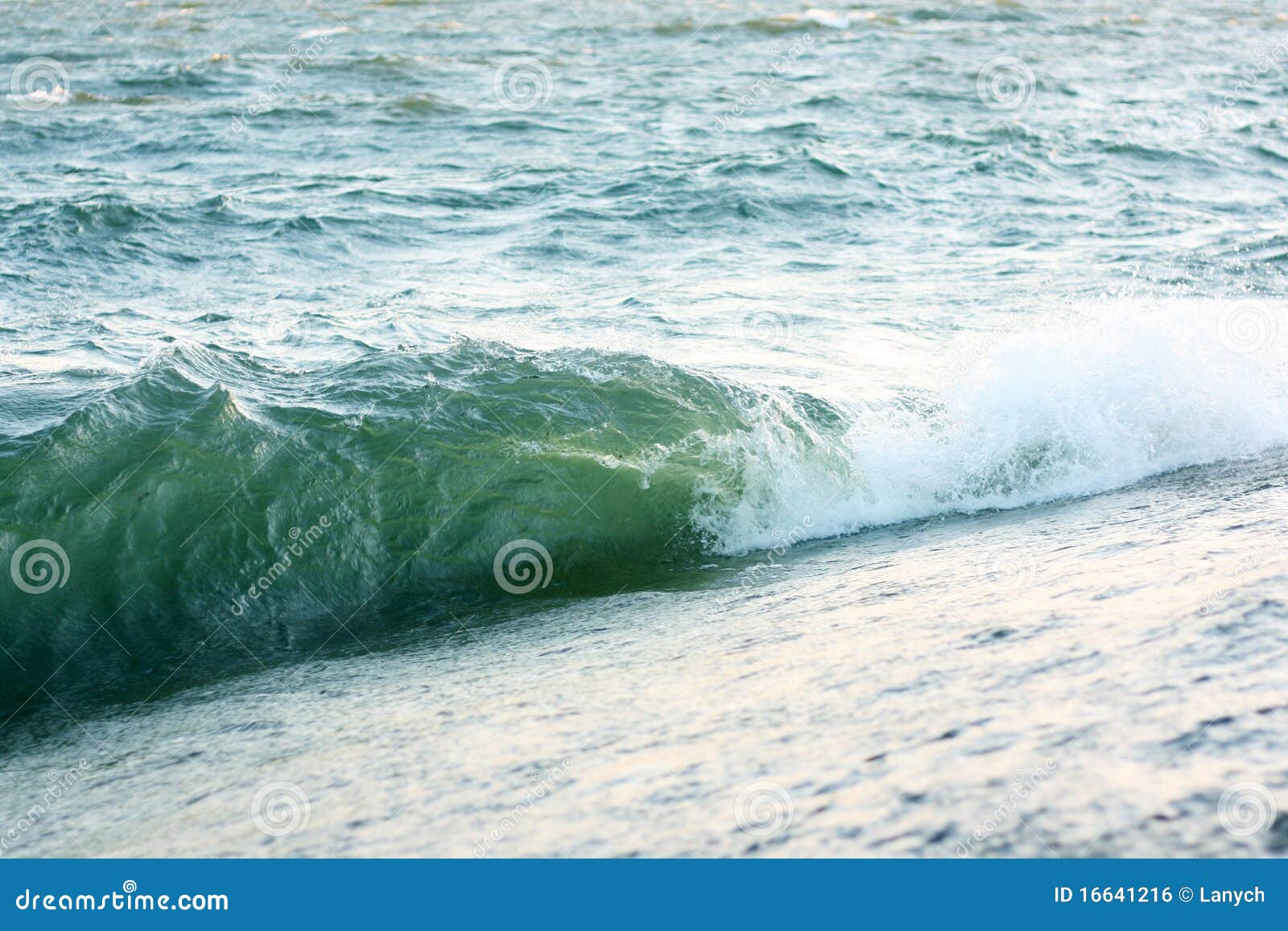 Green waves stock photo. Image of shorebreak, coastline - 16641216