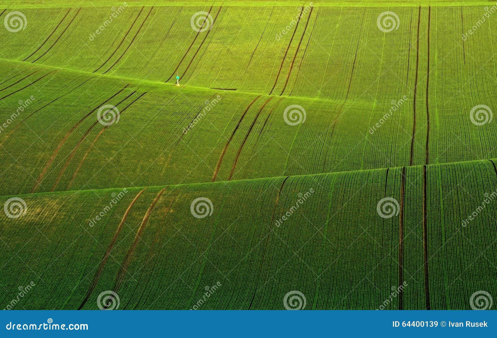 Green waves stock image. Image of wave, green, moravia - 64400139