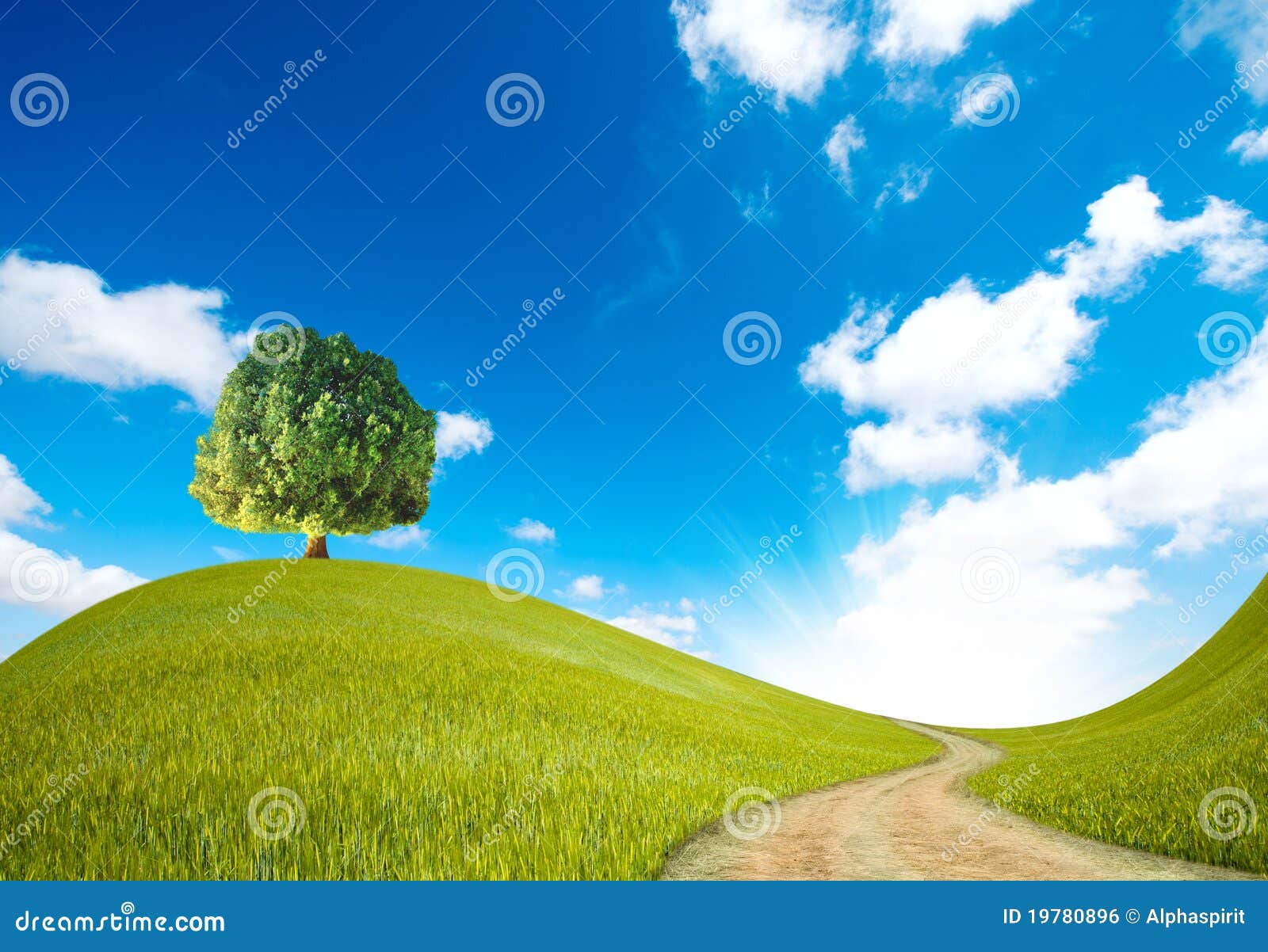Green way stock photo. Image of sunny, cloudy, scene - 19780896