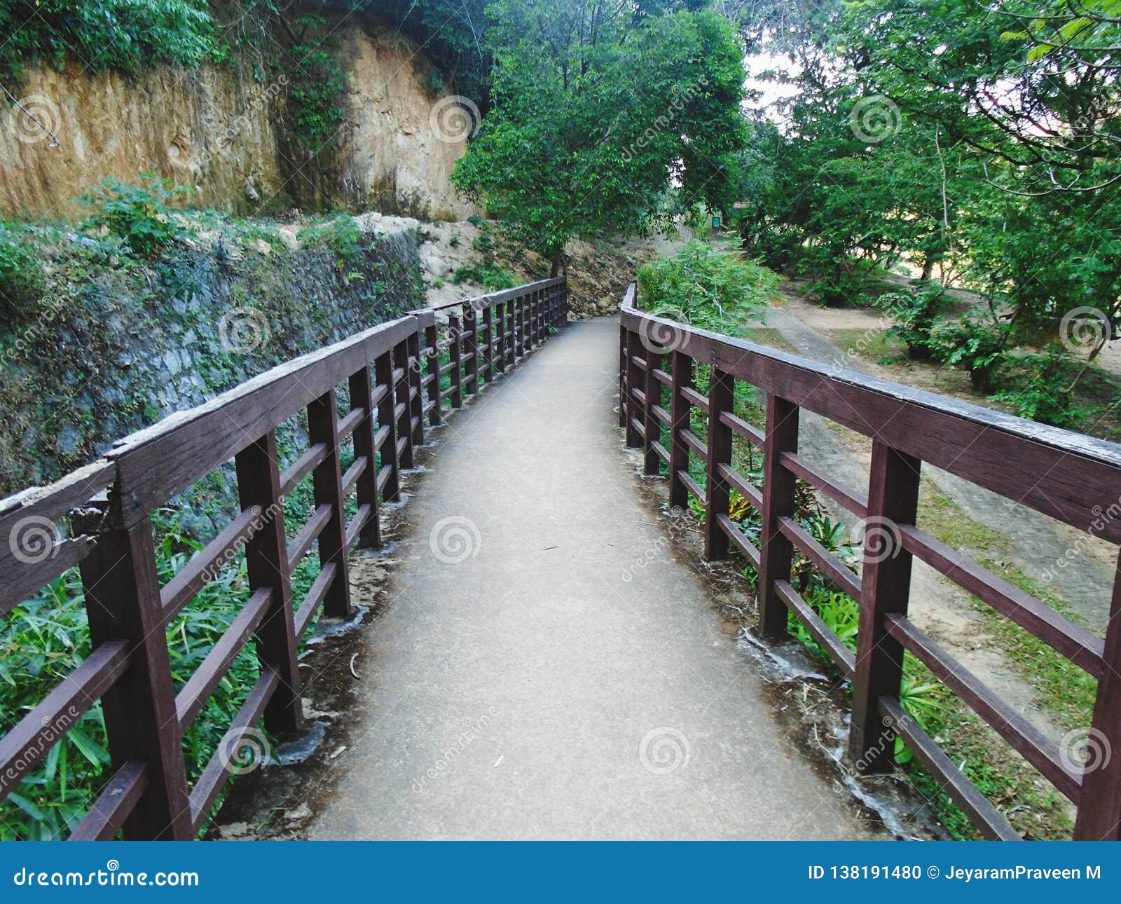 Green way stock photo. Image of path, green, forest - 138191480