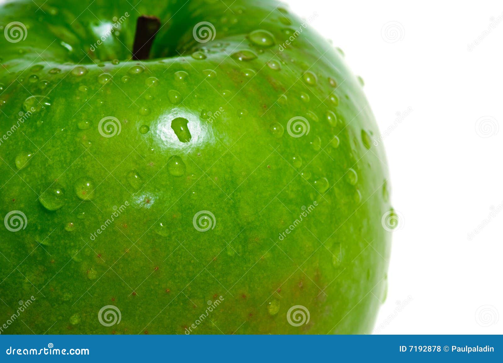 Green wet apple macro stock photo. Image of fruit, healthy - 7192878