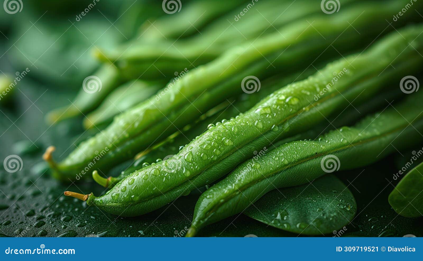 Green Wet String Beans Top View Stock Illustration - Illustration of ...