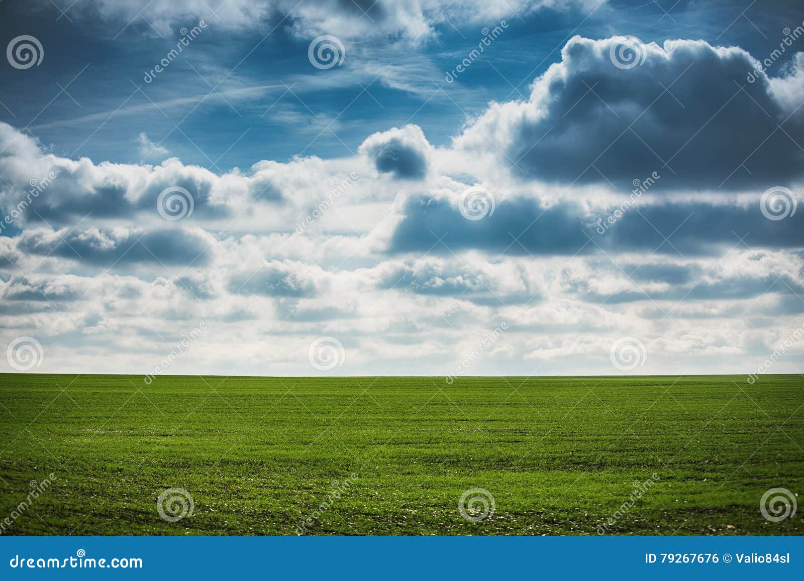 Green Wheat Field and Cloudy Day Stock Photo - Image of agriculture ...