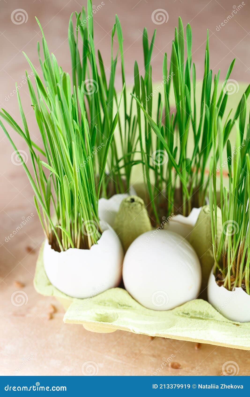 Green Wheat Sprouts. Easter Decorations. Easter Egg. Spring Composition ...