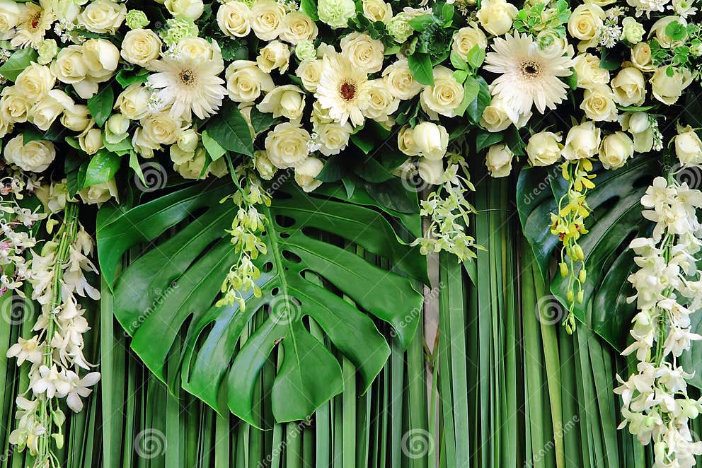 Green and white backdrop stock image. Image of idea, bloom - 24983305