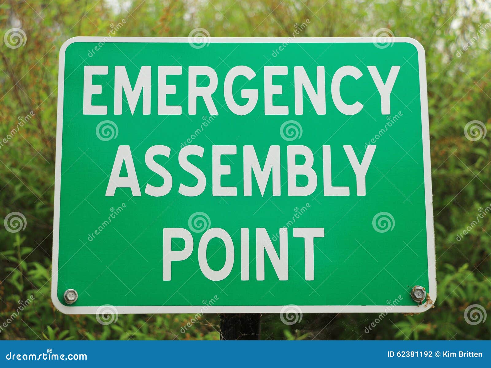 Green and White Emergency Assembly Point Sign Stock Photo - Image of ...