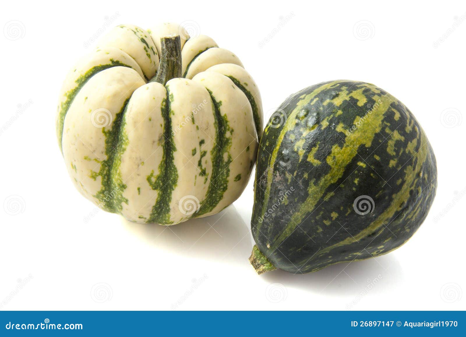 Green white pumpkins stock image. Image of colourful - 26897147