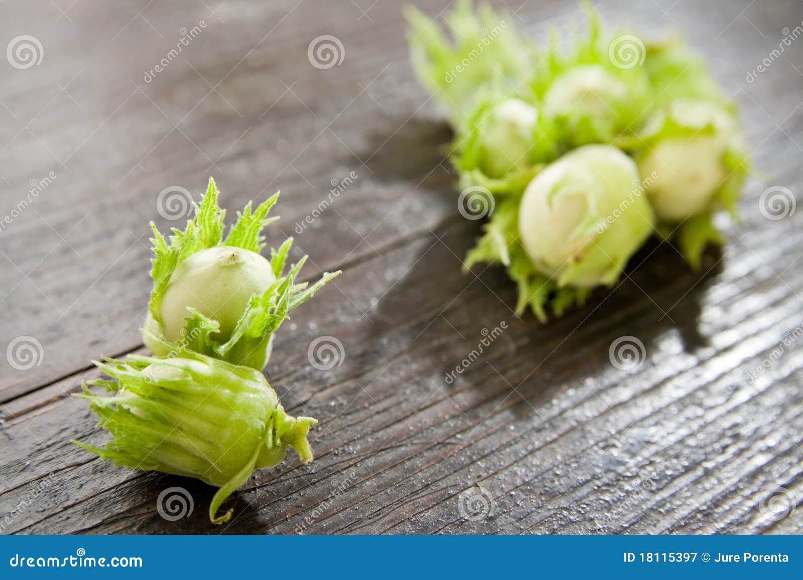 Green whole hazelnuts stock image. Image of food, seed - 18115397