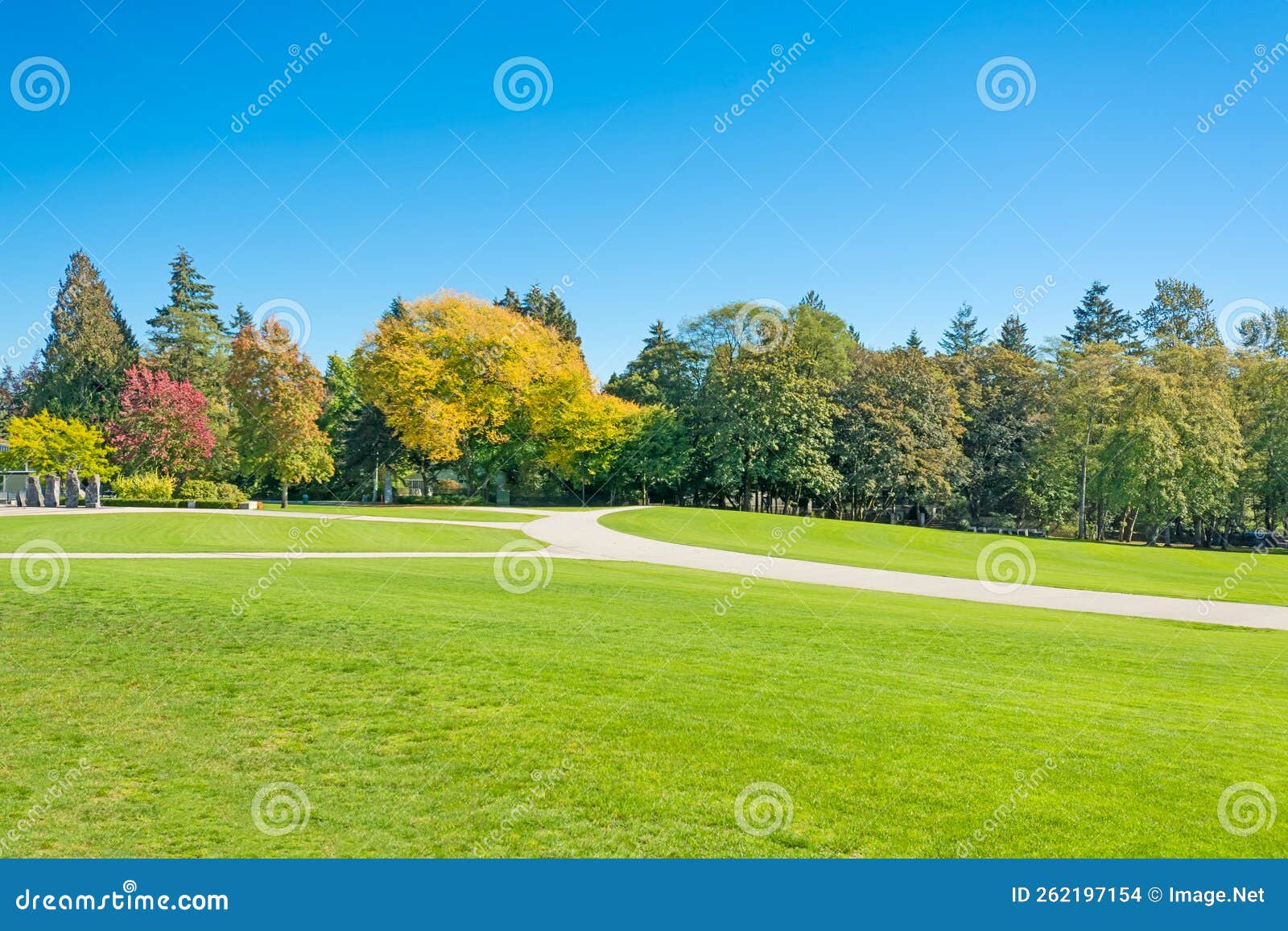 Green Wide Open Meadow in a Park with Trees Stock Photo - Image of ...