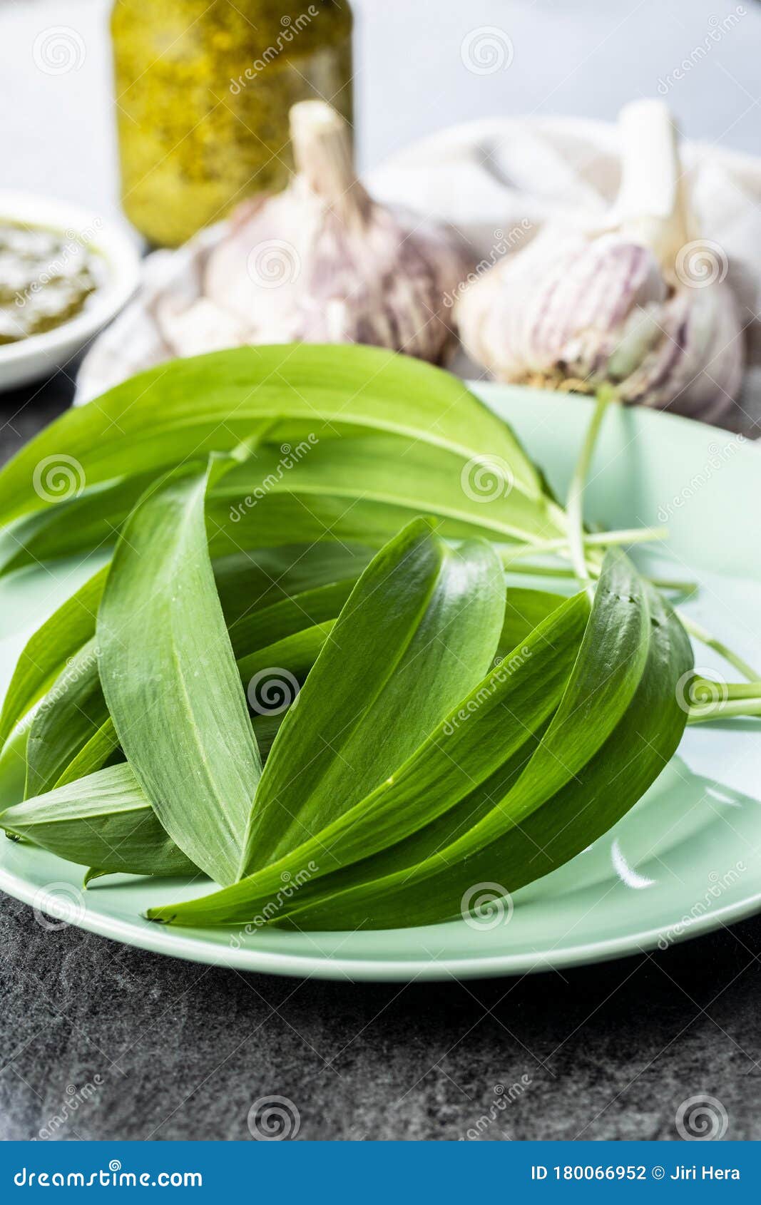 Green Wild Garlic Leaves and Garlic Bulb. Ramsons Leaves Stock Photo ...