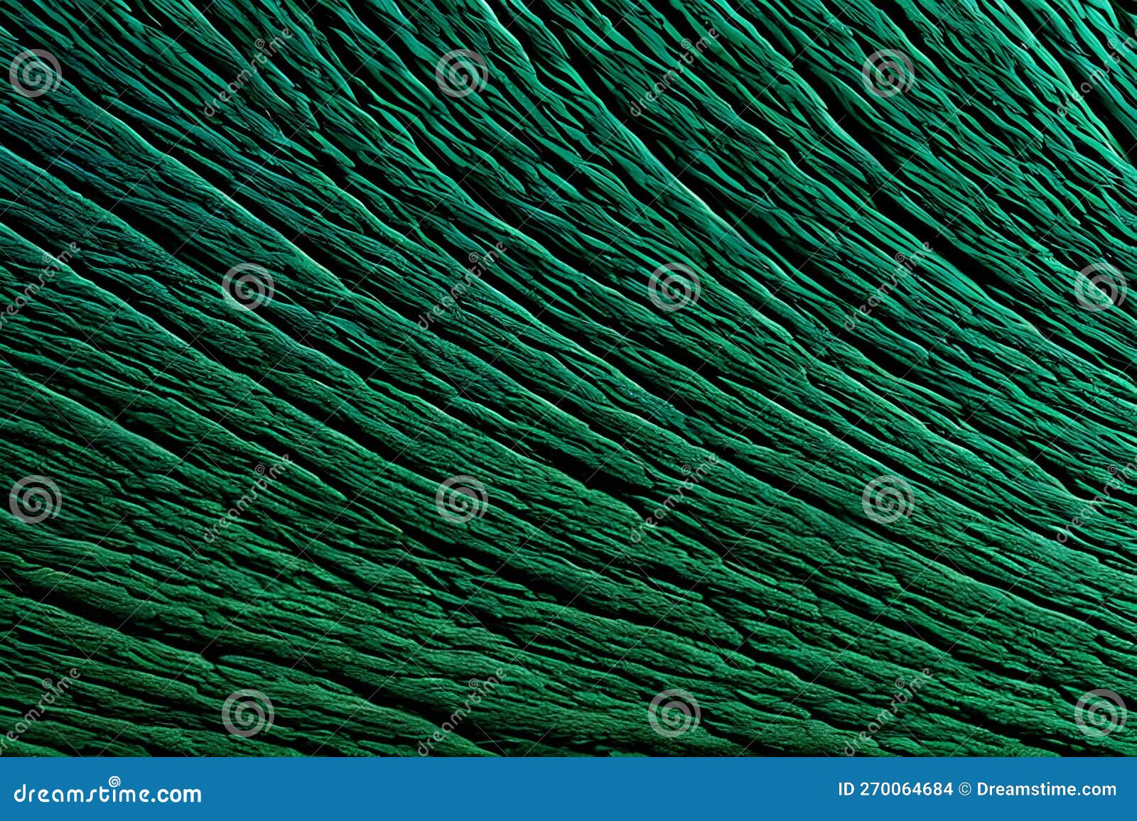 Green Wild Textured Nature Pattern Background and Backdrop Stock Photo ...