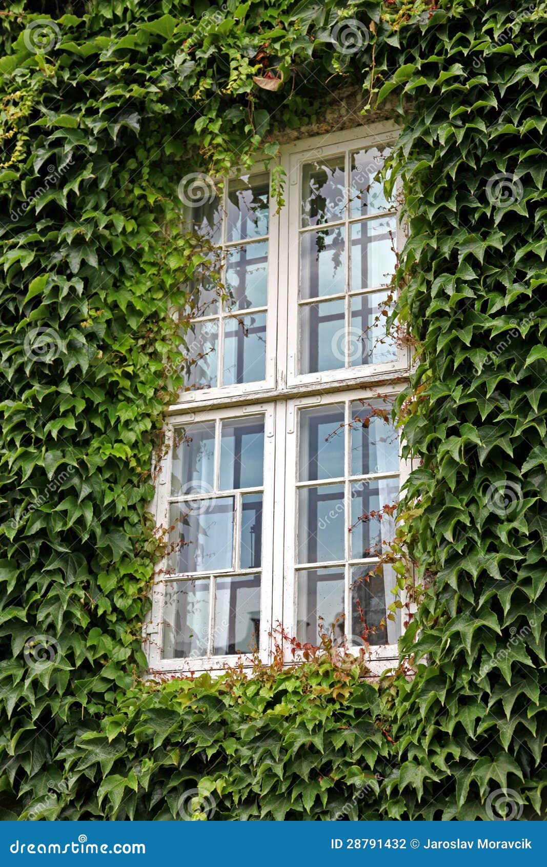 Green window stock photo. Image of denmark, landmark - 28791432
