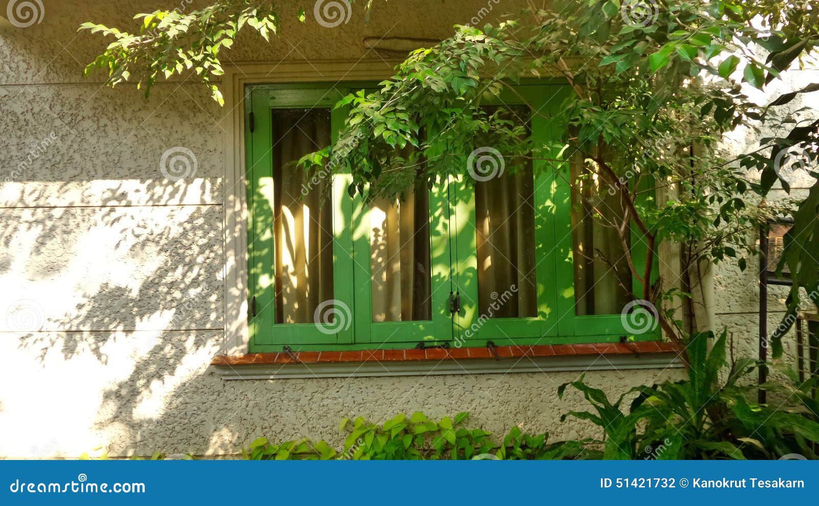 Green Window and Tree Shade in the Garden Stock Photo - Image of garden ...