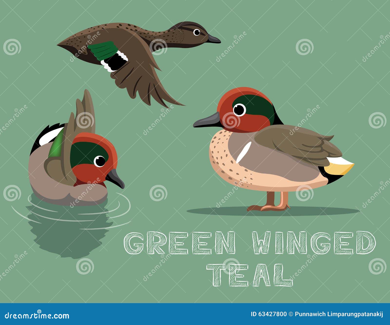 Green Winged Teal Cartoon Vector Illustration Stock Vector ...