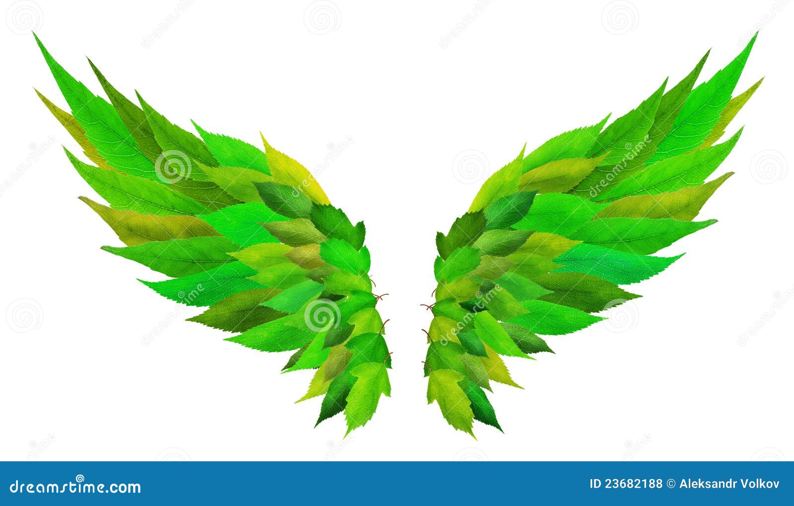 Green wings concept stock photo. Image of viens, summer - 23682188