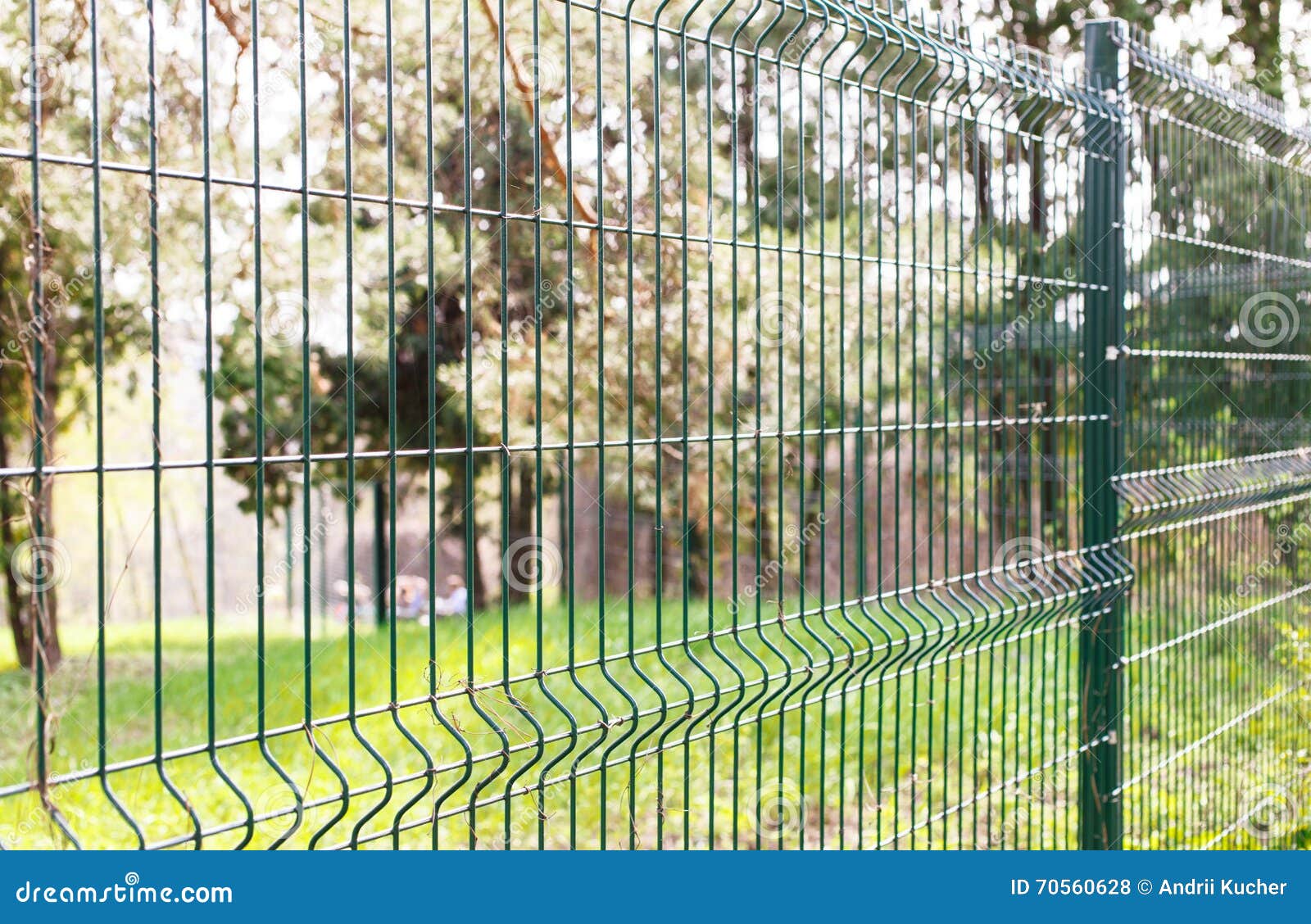 Green Wire Netting In A Beautiful Various Hedge Blooming And Fencing A ...