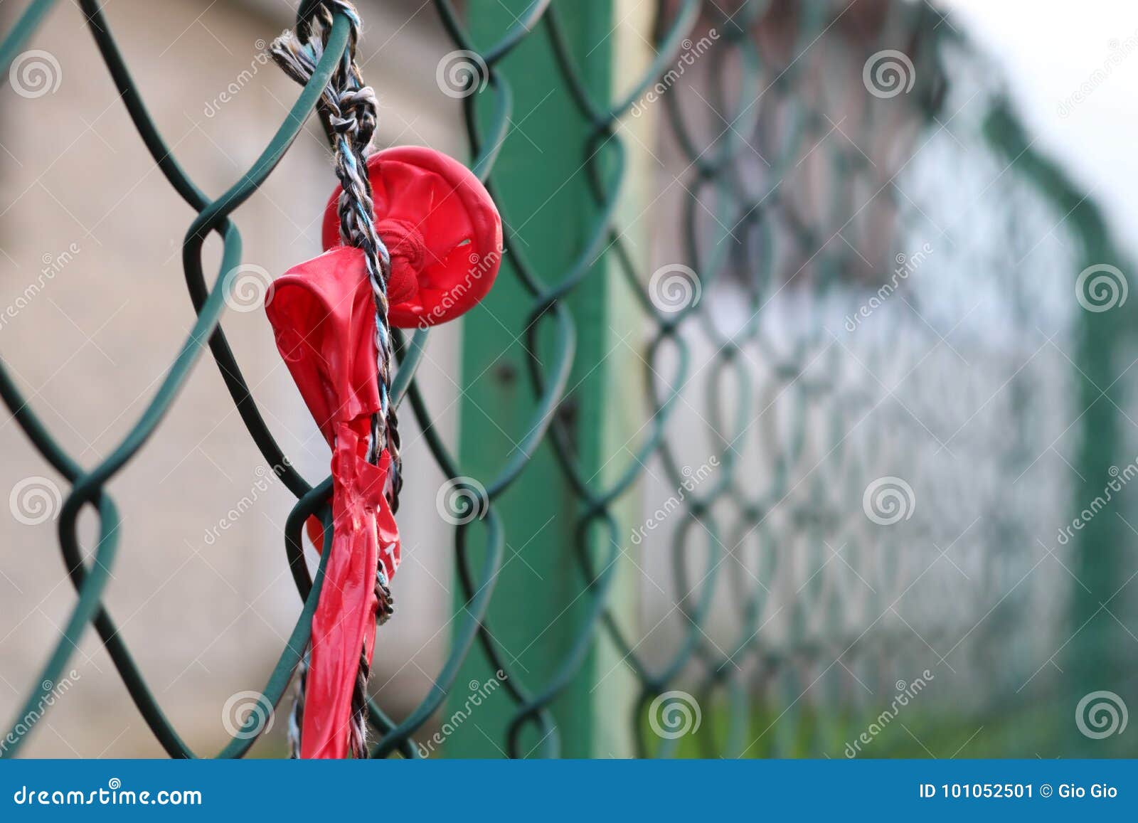 Exploded Balloon Hanging on Green Wire Mesh Stock Image - Image of ...