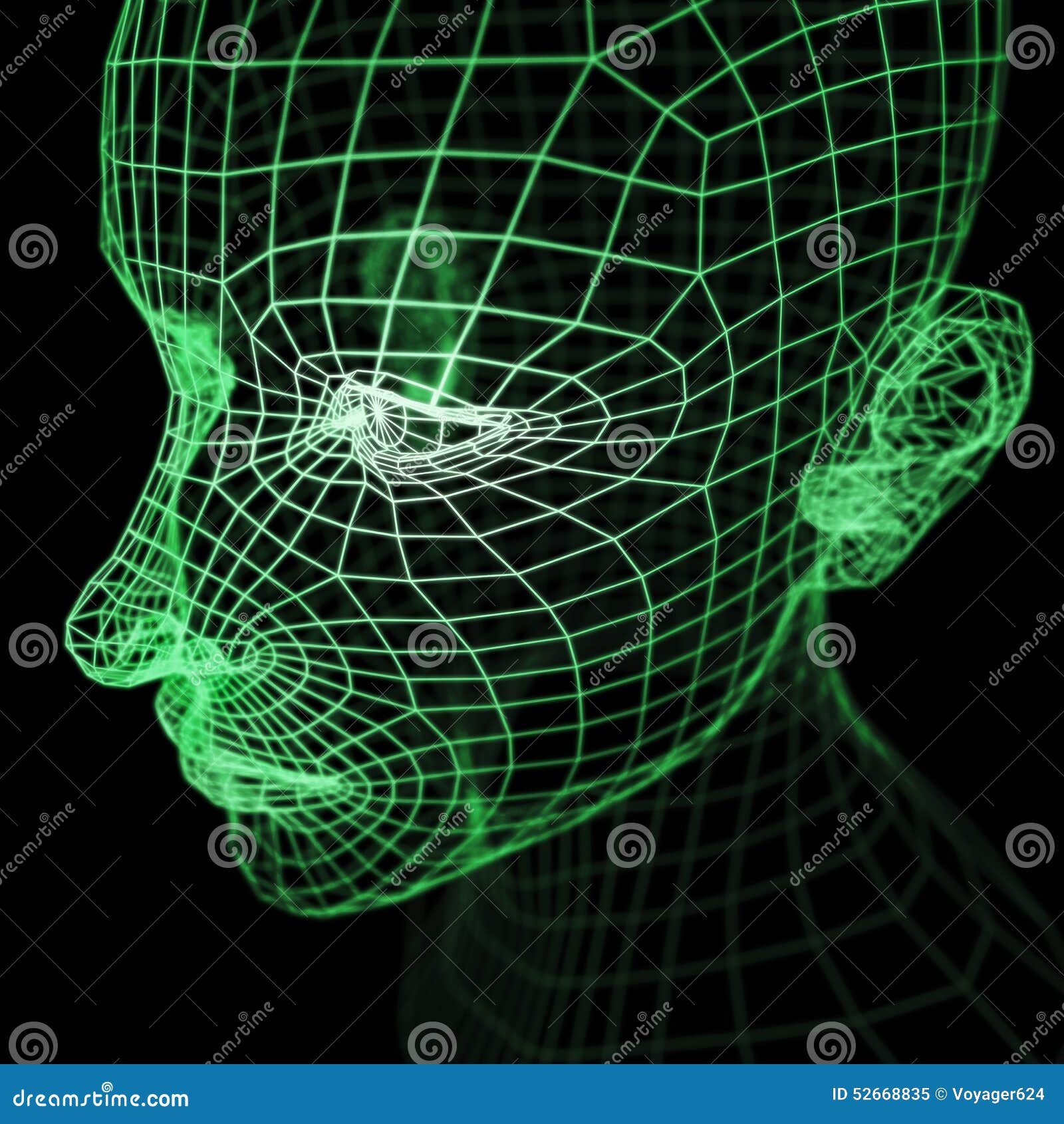 Green Wireframe Human Head Mode Stock Illustration - Illustration of ...