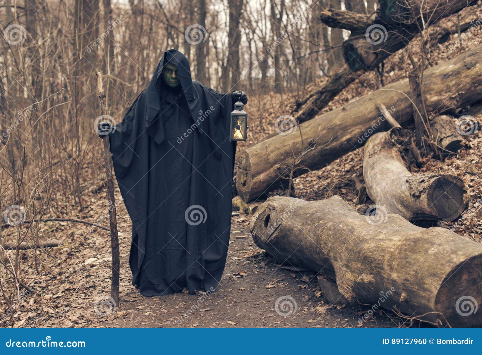 The Green Witch in the Autumn Forest Stock Photo - Image of mantle ...