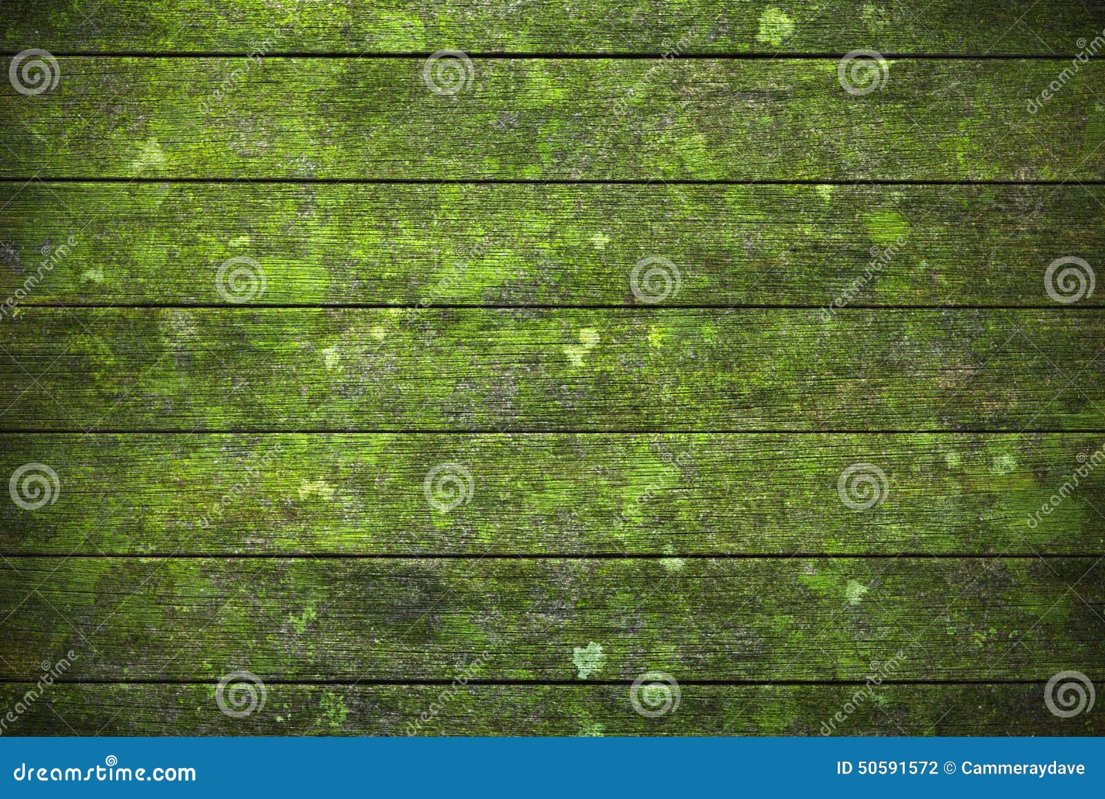 116 Old Damp Wood Panel Texture Stock Photos - Free & Royalty-Free ...