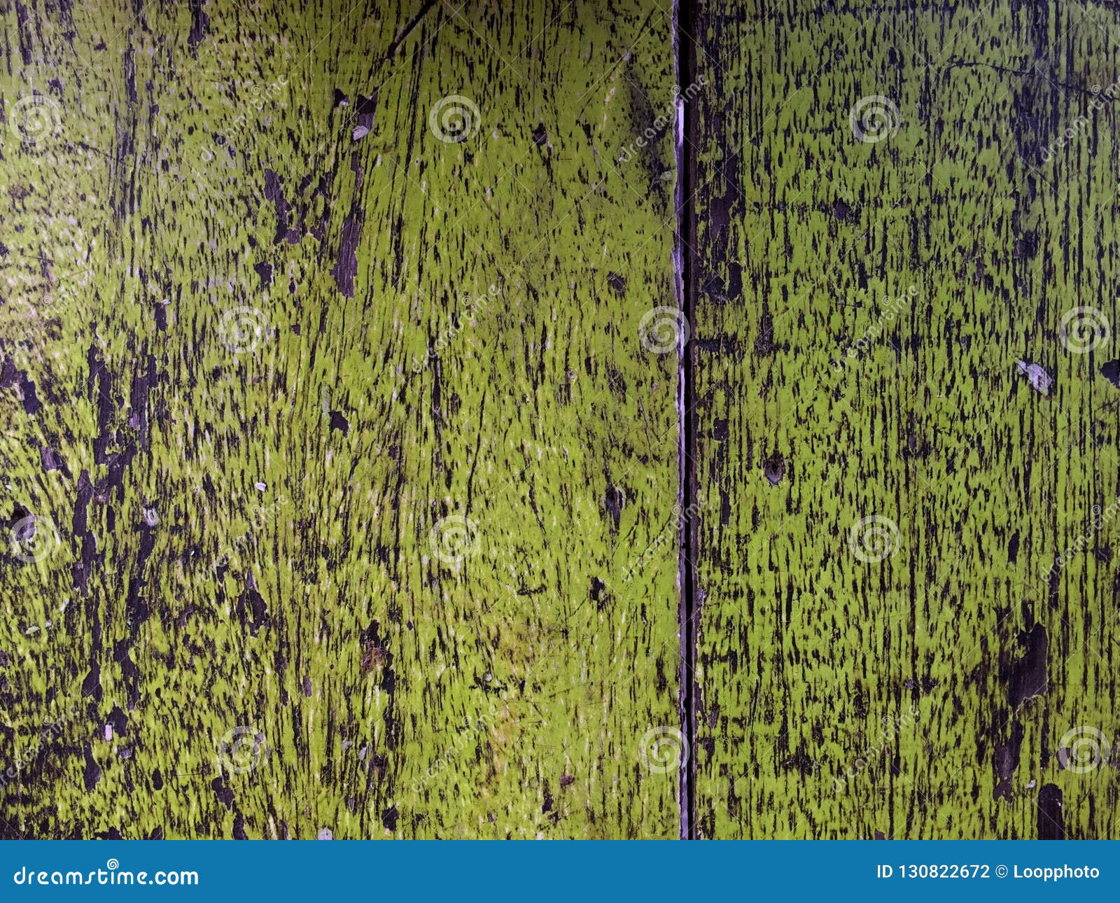 Green wood. stock photo. Image of color, green, backdrop - 130822672
