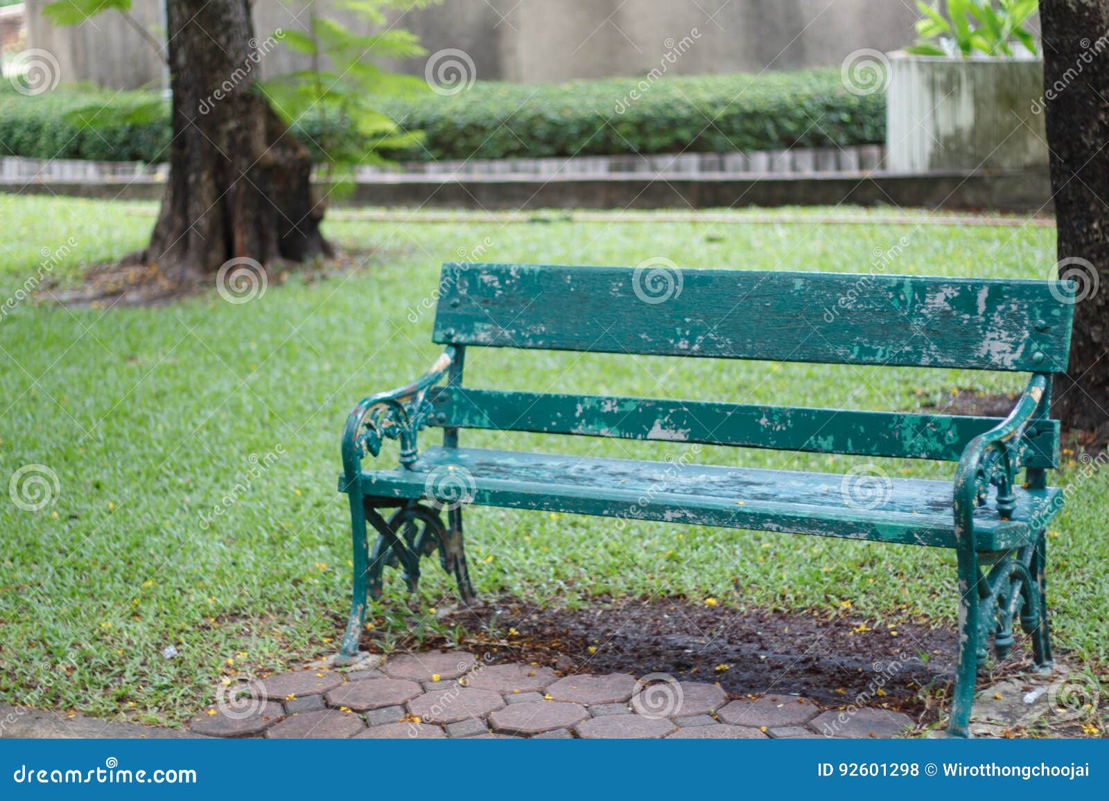 Green Wooden Bench in Garden. Alone and Lonely Concepts Stock Photo ...