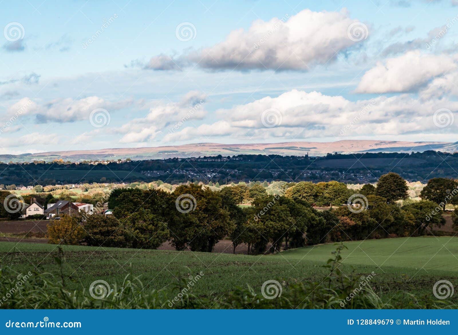 Woods and Fields stock image. Image of farms, walking - 128849679