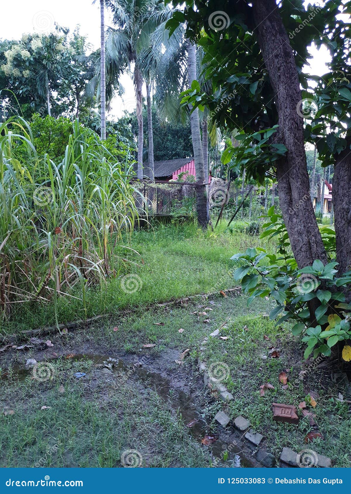 Zigzag path stock image. Image of zigzag, path, green - 125033083