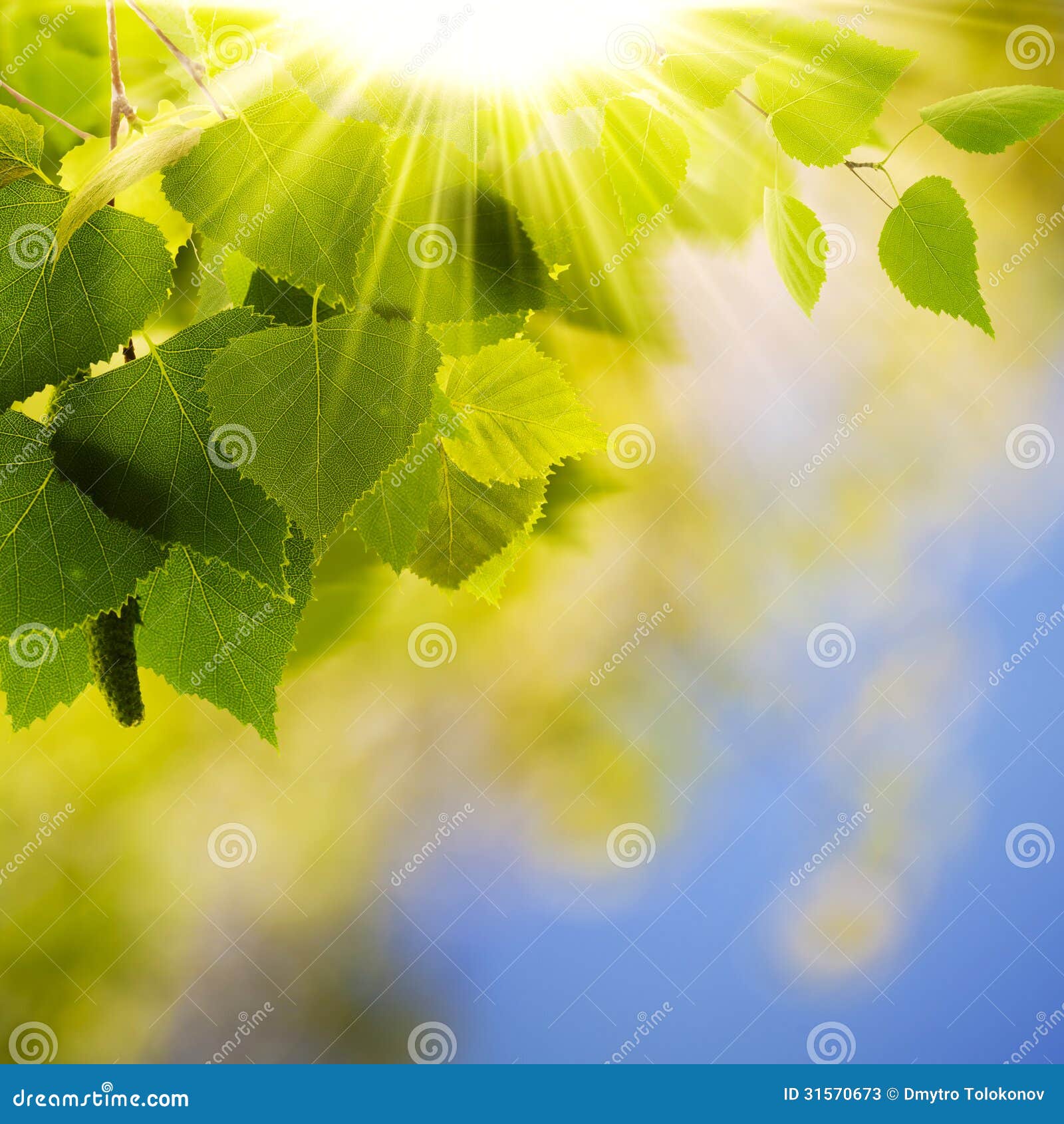 Green world stock image. Image of environment, color - 31570673