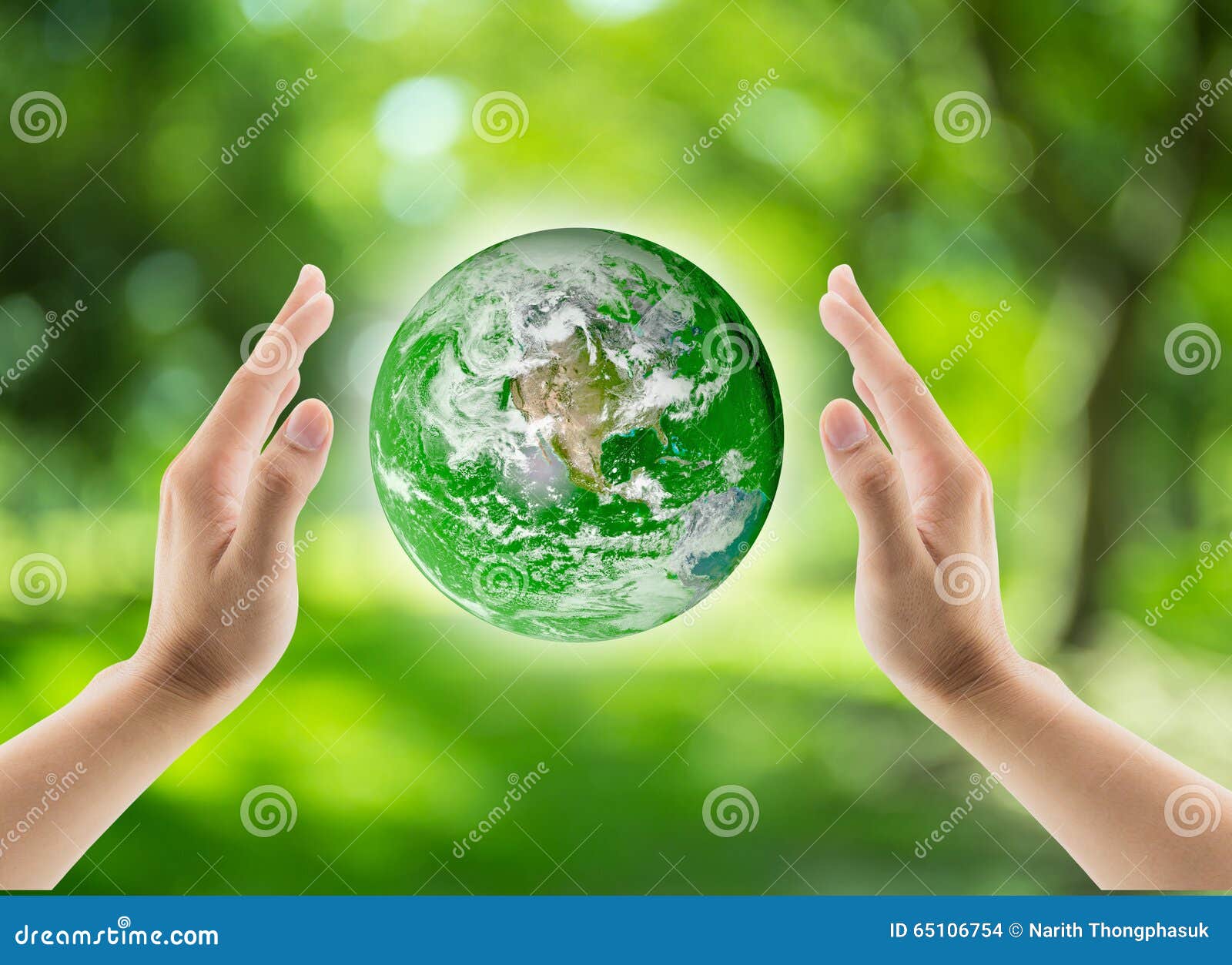 Nature Wallpaper Green World