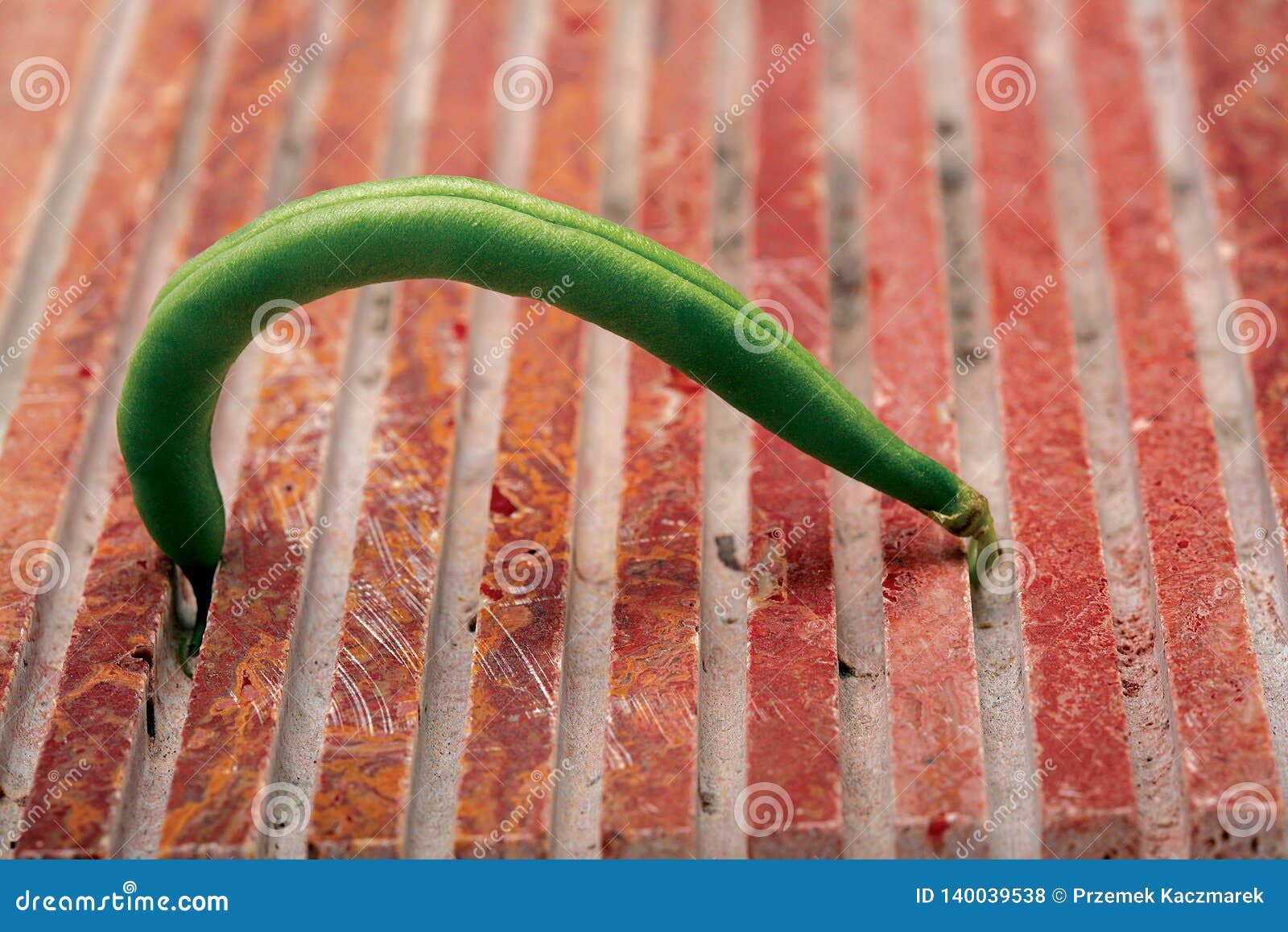 Green Worm. Bean Pod in a Rush Stock Photo - Image of green, bean ...