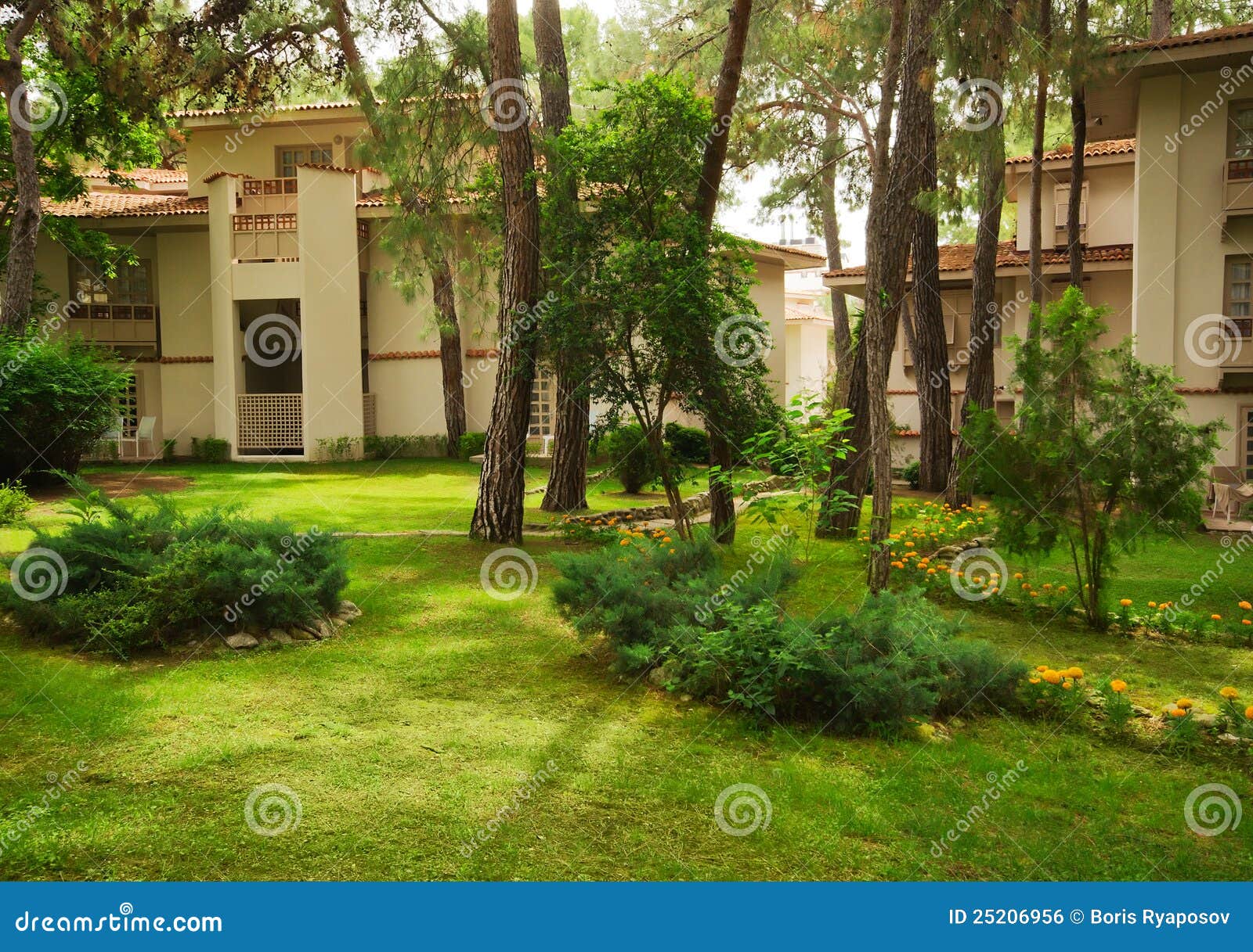 Green yard stock photo. Image of copy, lawn, outdoor - 25206956
