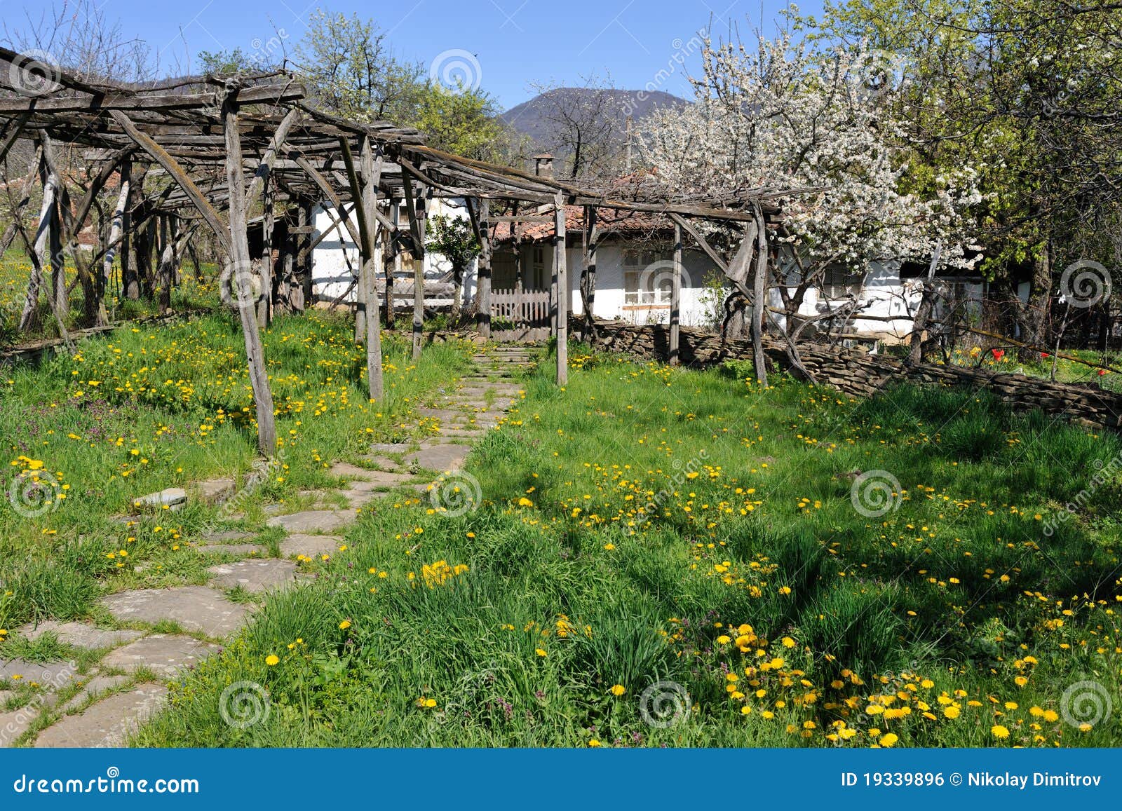 Green Yard of Bulgarian Rural House Stock Photo - Image of spring ...