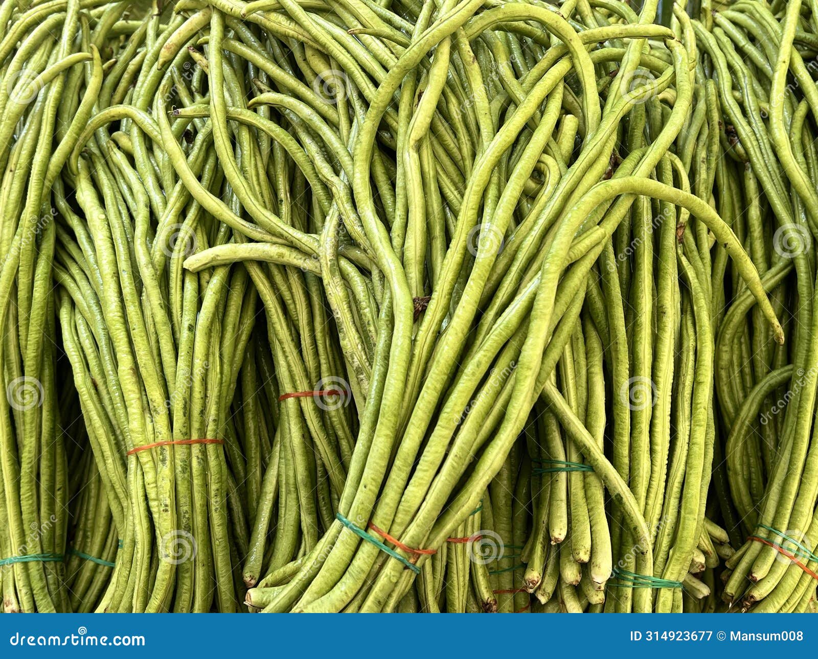 Green Yard Long Beans in a Market Stock Image - Image of long ...