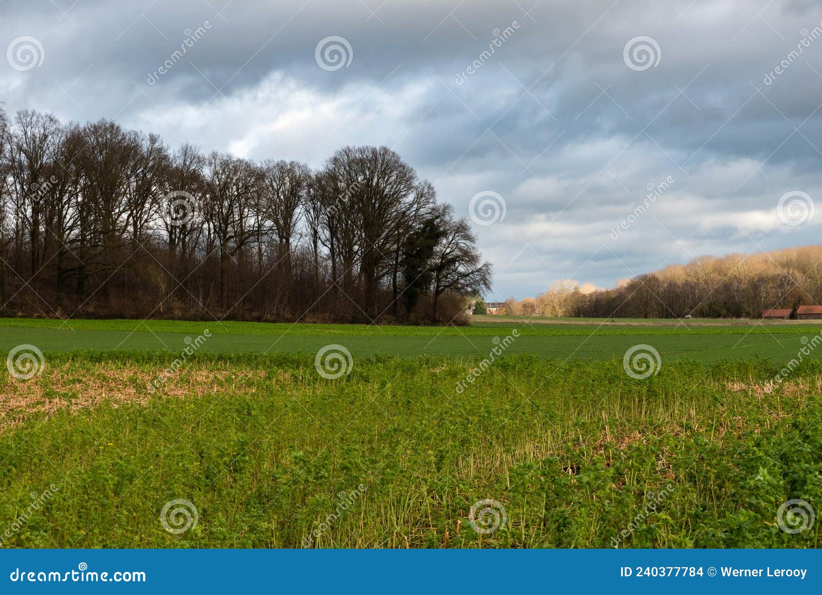 Boutersem Stock Photos - Free & Royalty-Free Stock Photos from Dreamstime