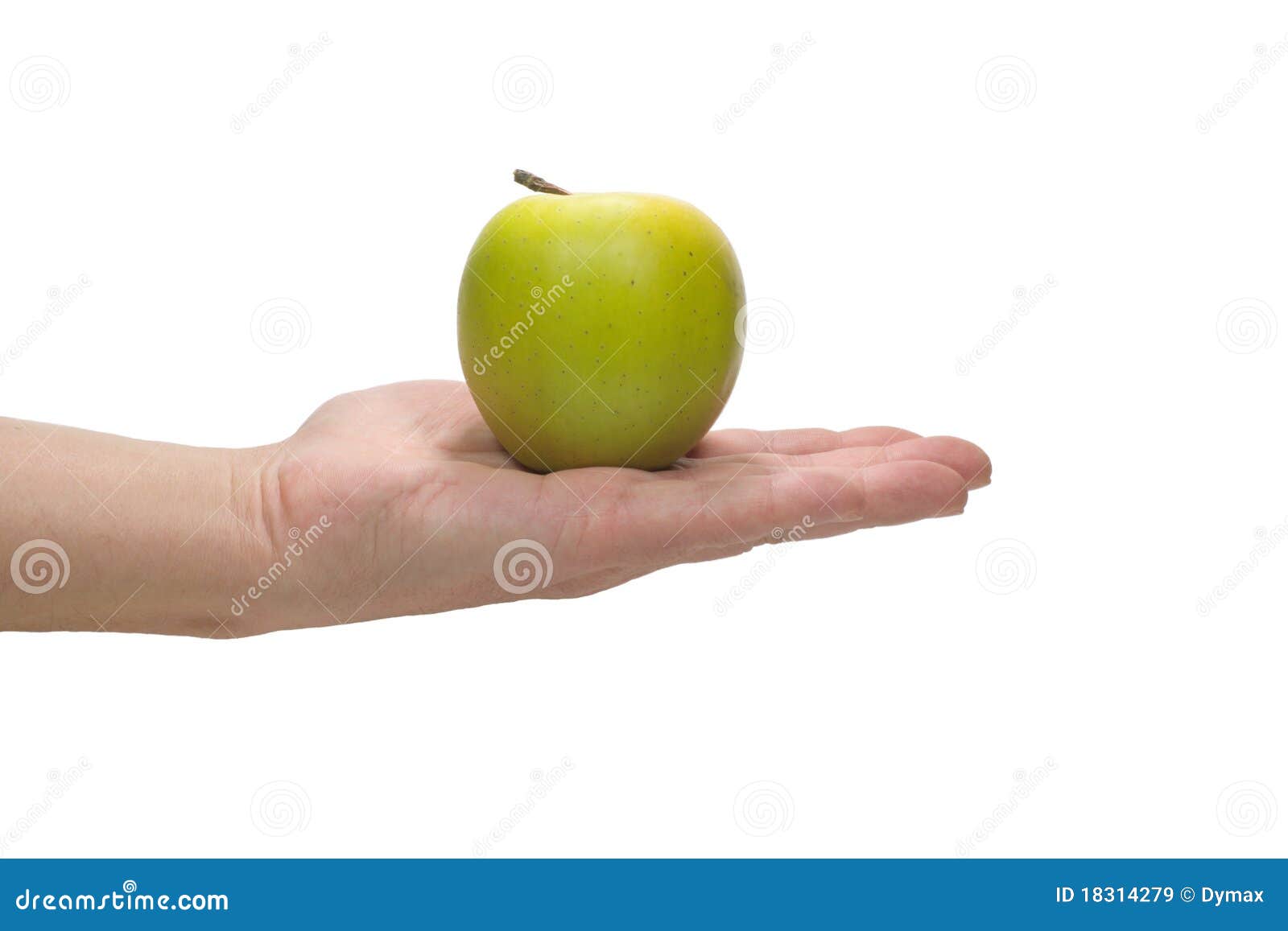 Green and Yellow Apple Laying on Open Hand Isolate Stock Image - Image ...