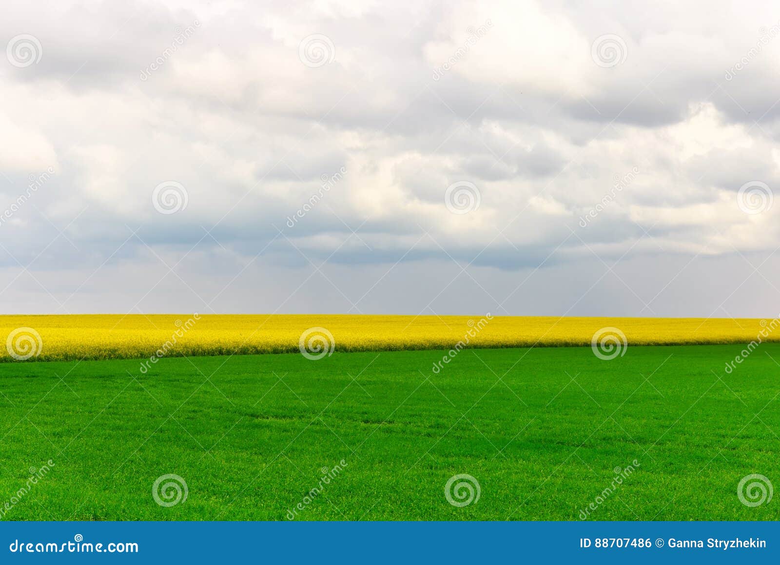 Green and yellow field stock photo. Image of beautiful - 88707486