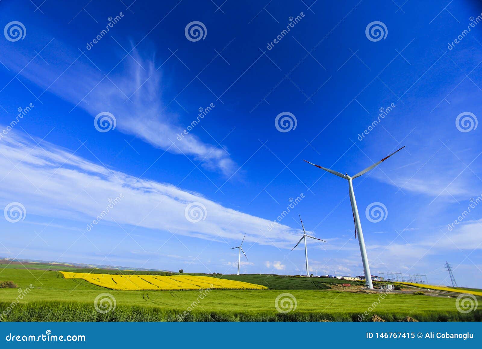 Green Yellow Field One Tree Stock Image - Image of technology, blue ...
