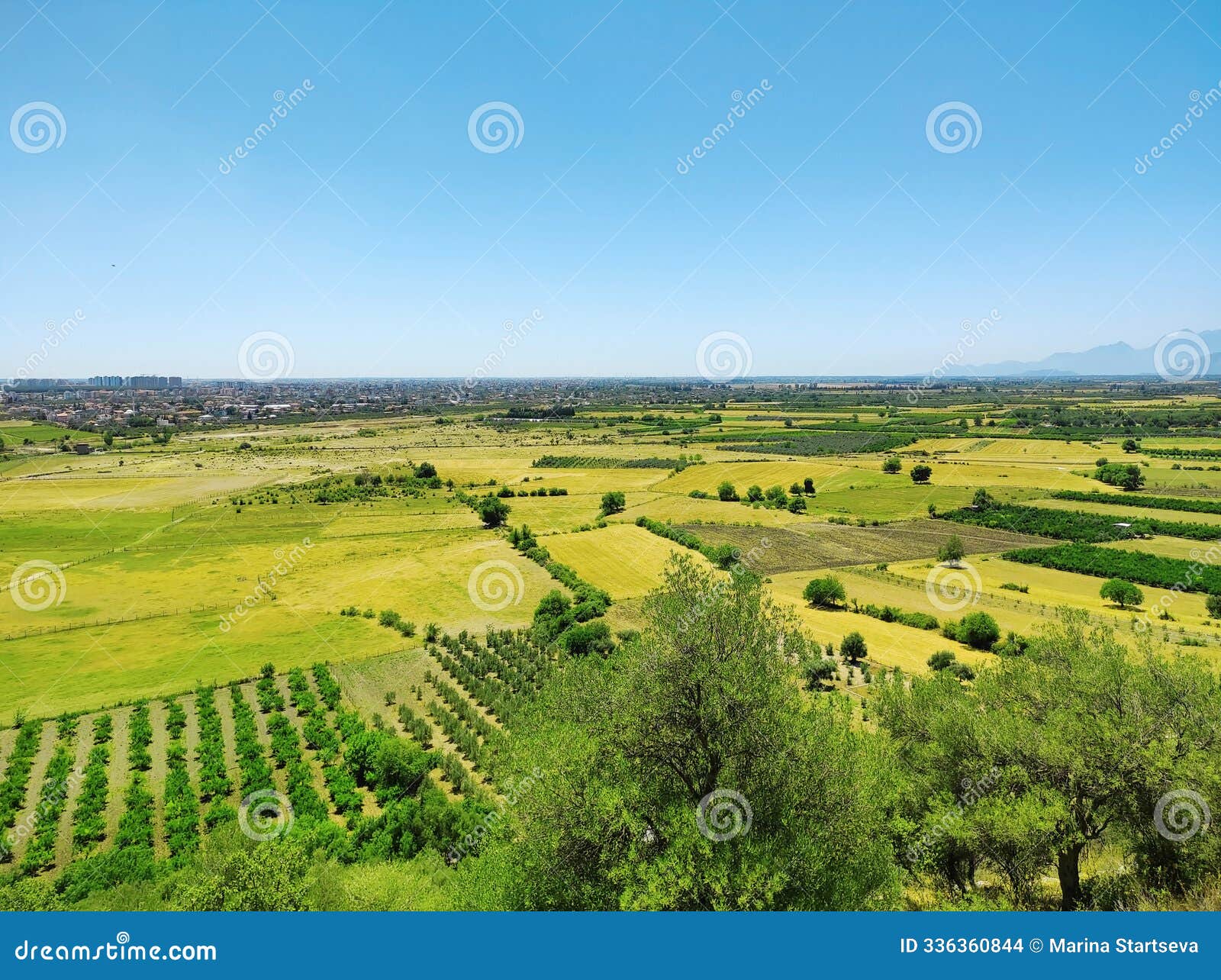 Green and Yellow Fields, Meadows and Gardens Surrounded by Trees and ...
